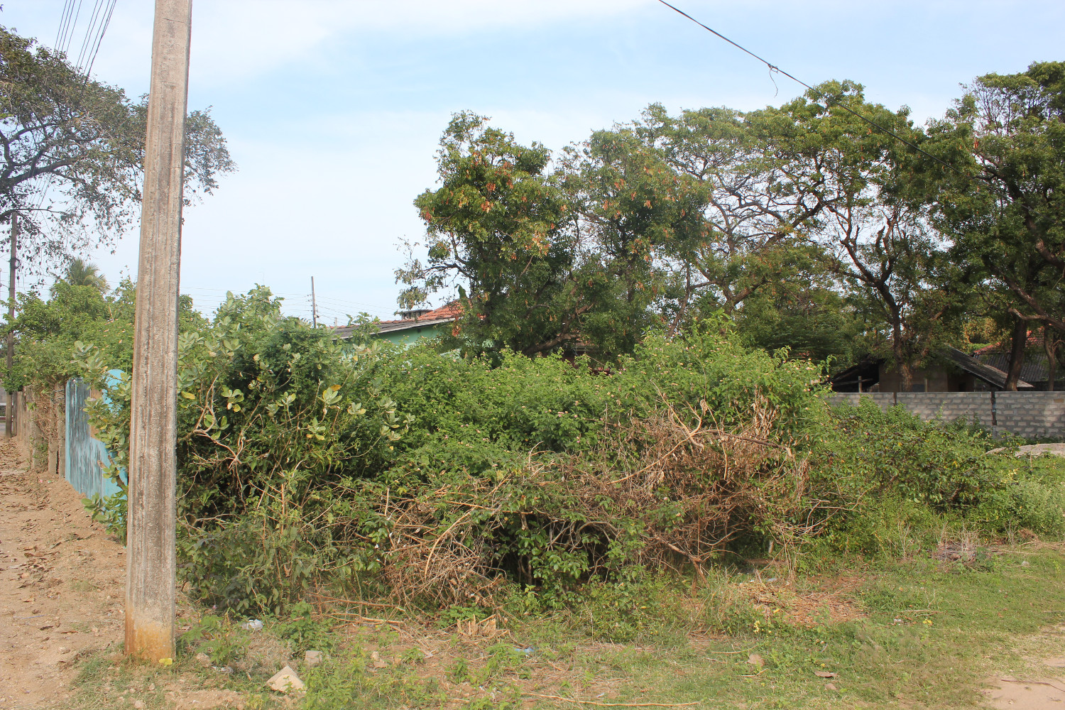 The military destroyed the home of LTTE leader Velupillai Prabhakaran ...