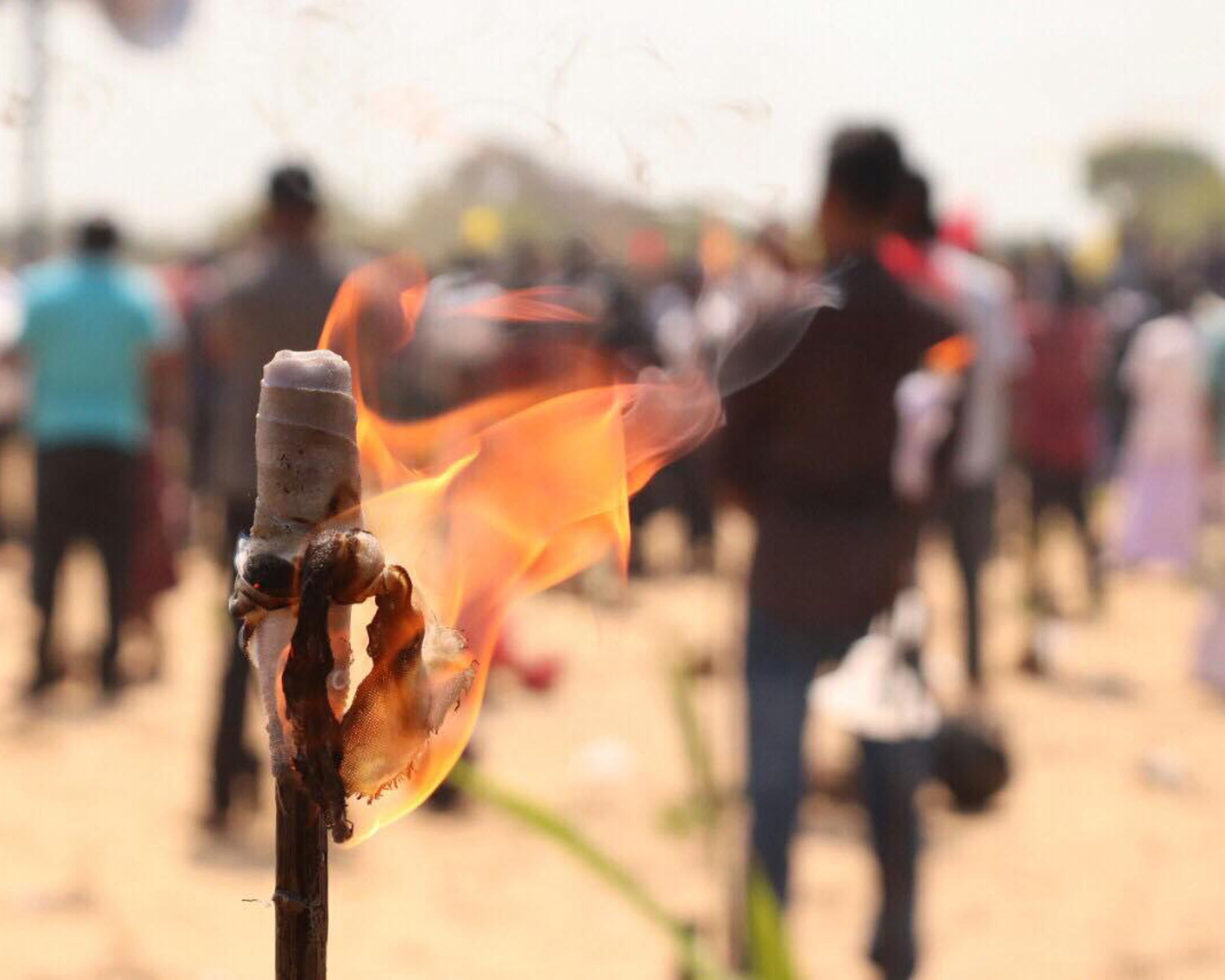 14 flame – People for Equality and Relief in Lanka